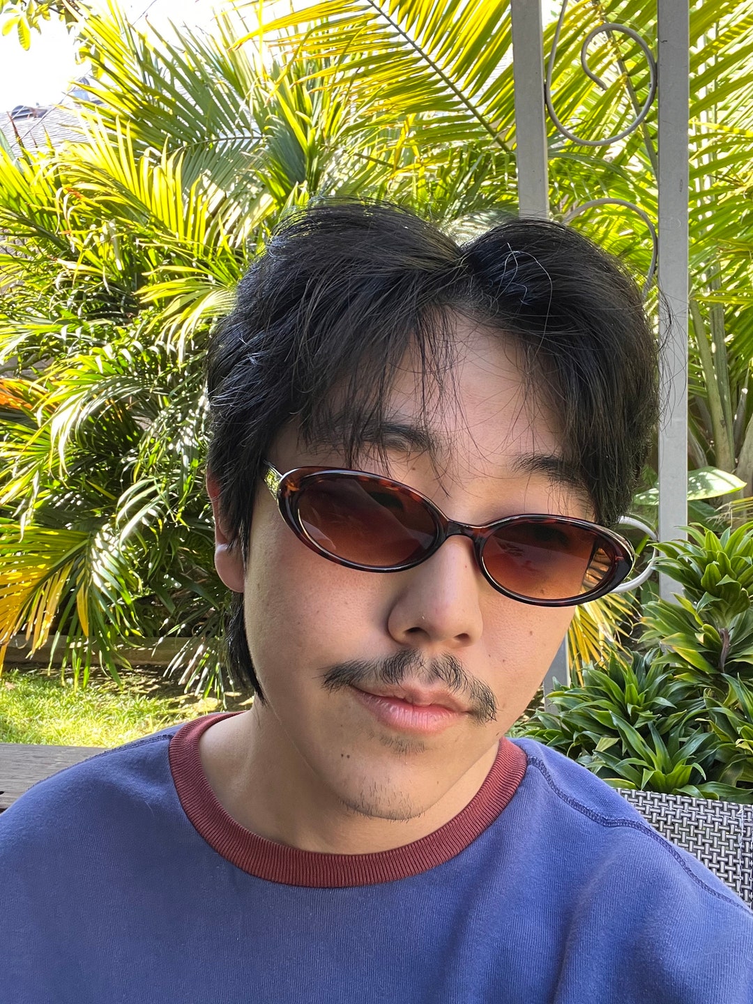 Y2K 90s/2000s Style Oval/cateye Shaped Tortoise Frames and Ombre Lenses ...