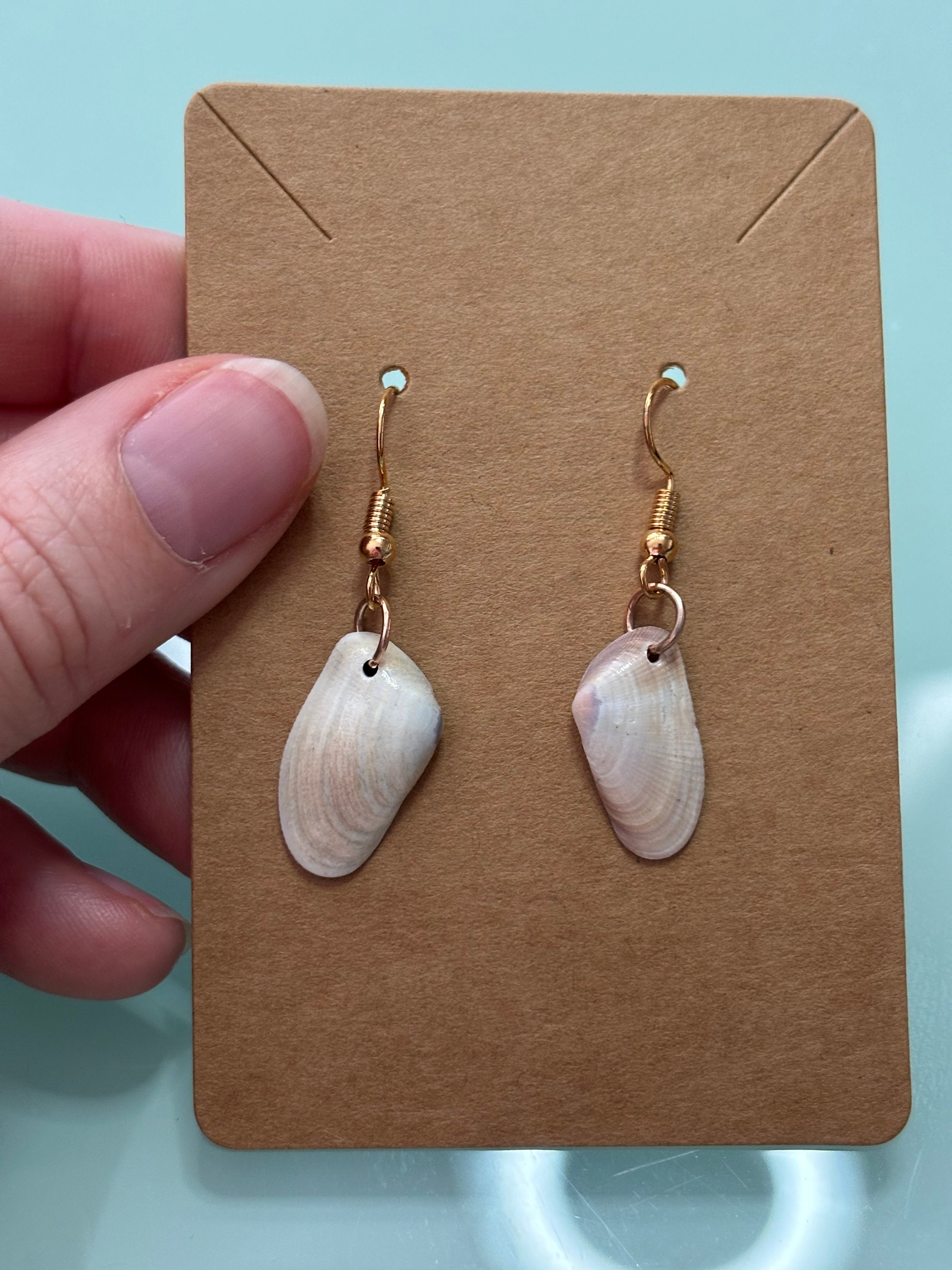 Real Natural Coquina Shell Dangle Earrings - Etsy