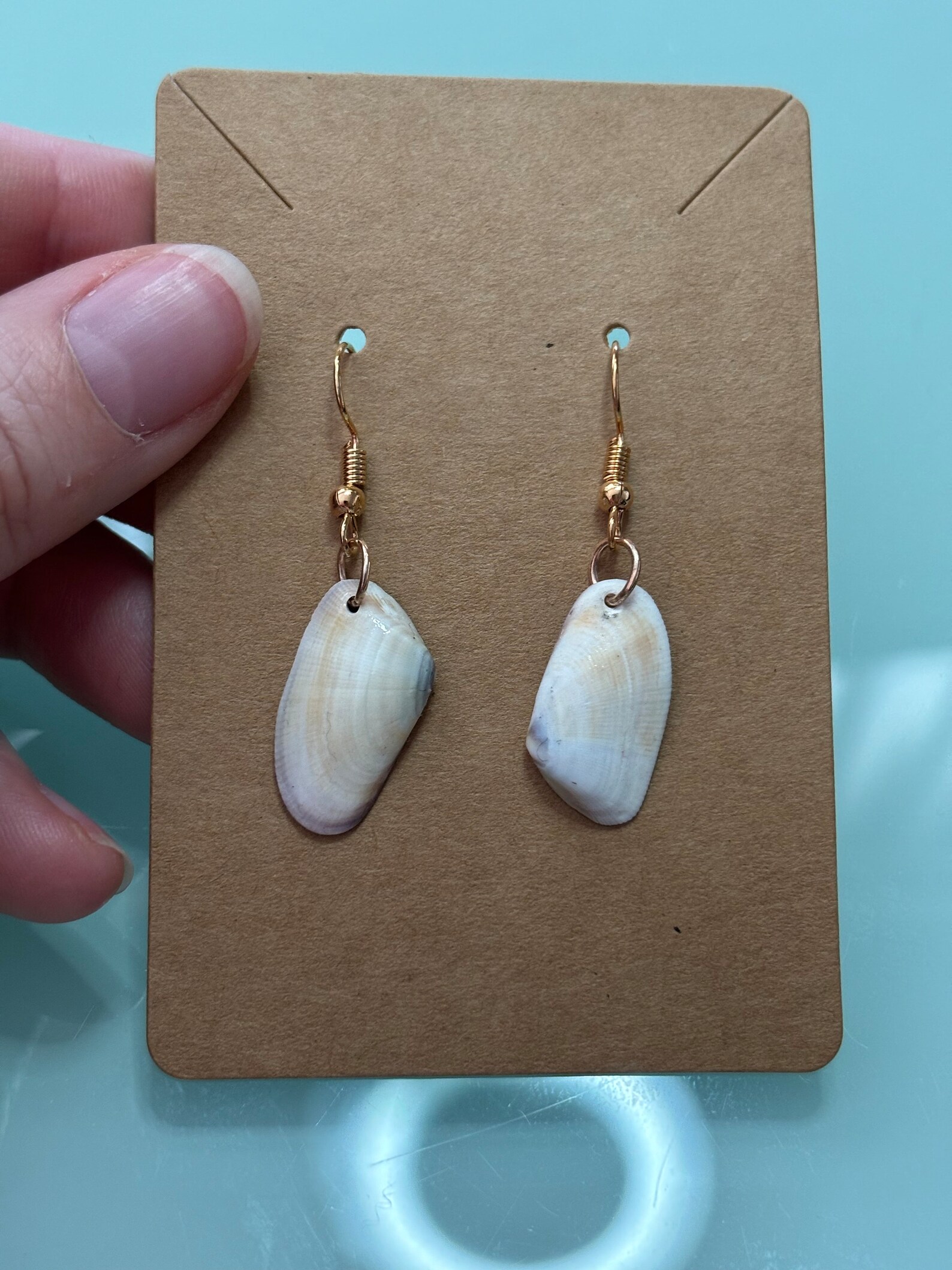 Real Natural Coquina Shell Dangle Earrings - Etsy