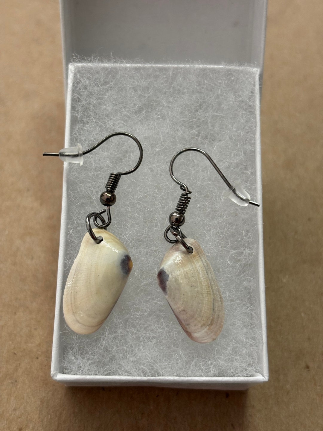Real Natural Coquina Shell Dangle Earrings - Etsy