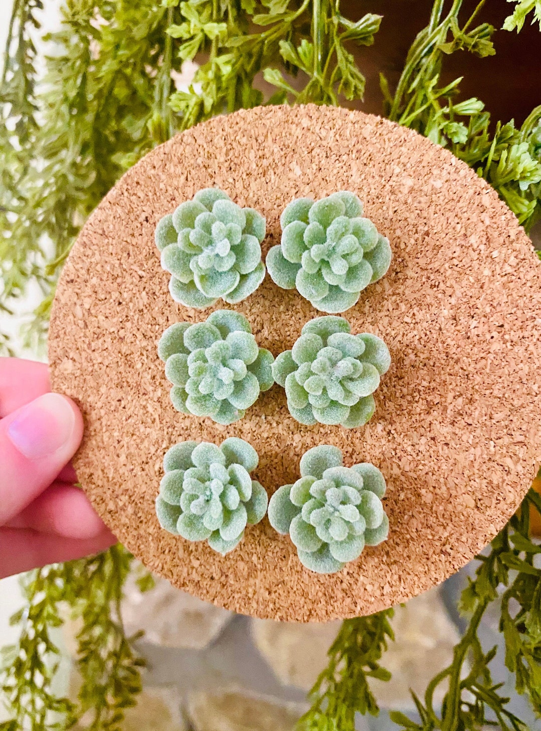 Miniature Succulent Decorative Push Pins Cute Thumb Tack Map Pin for ...