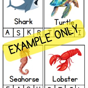 Letter Matching - Ocean - Etsy