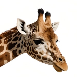 Printed Art Image of a Giraffe Shopping - Etsy