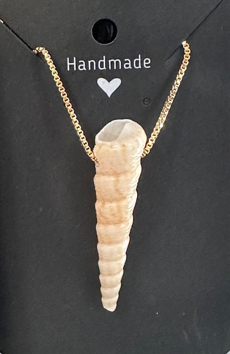 Handmade Costa Rican Seashell Necklace - Etsy
