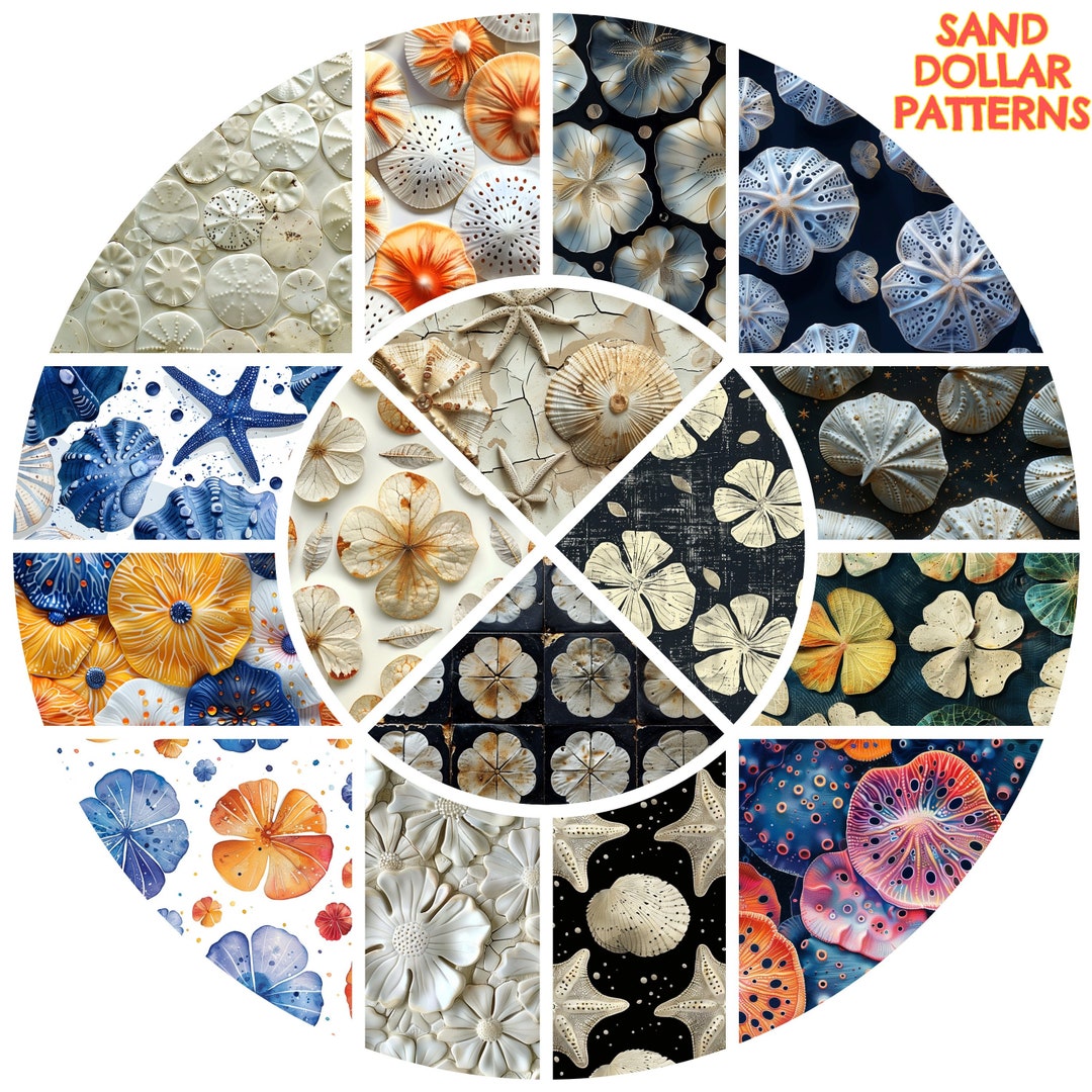 Sand Dollar Pattern 75 OPTIONS Digital Seamless Coastal Decor Sand ...