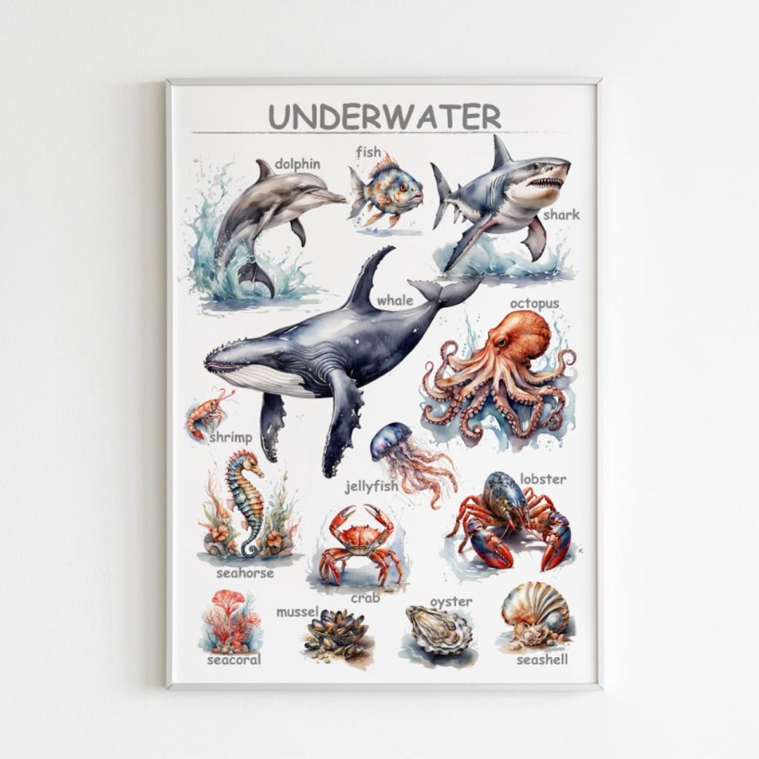 Underwater Animal, Home School Underwater Animal Poster, Education ...