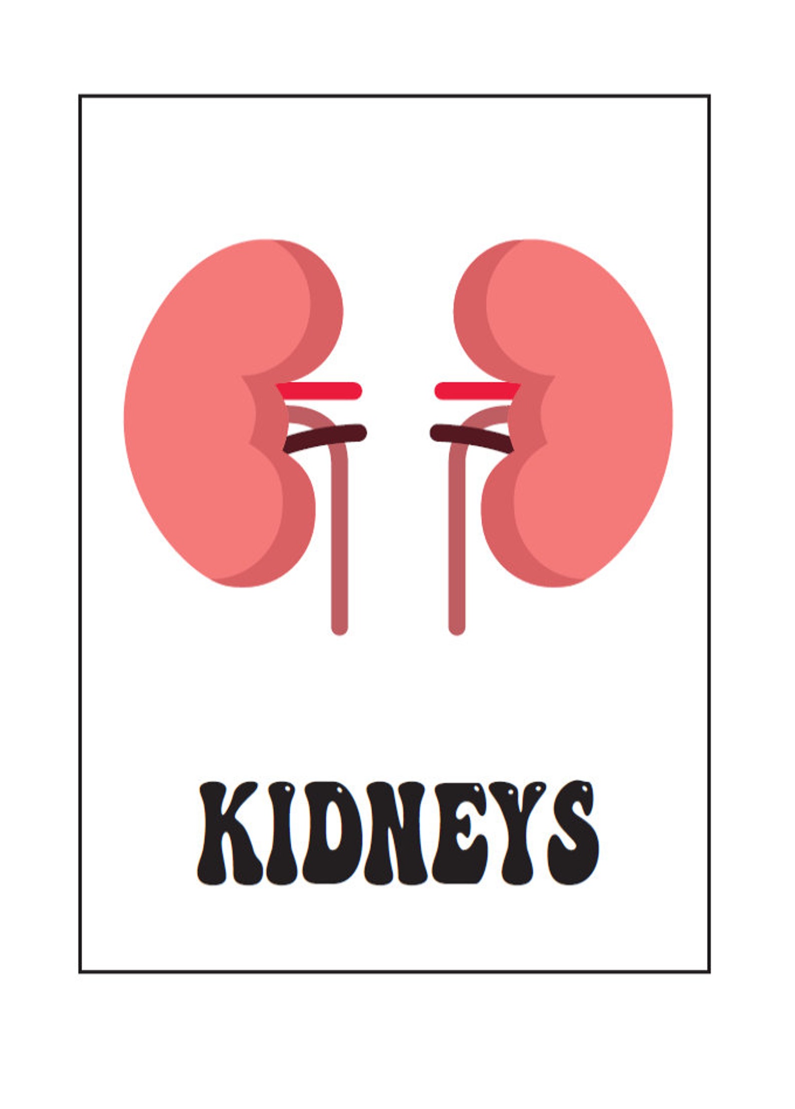 Printable Human Body Systems Worksheets for Kids | Organs | Coloring ...