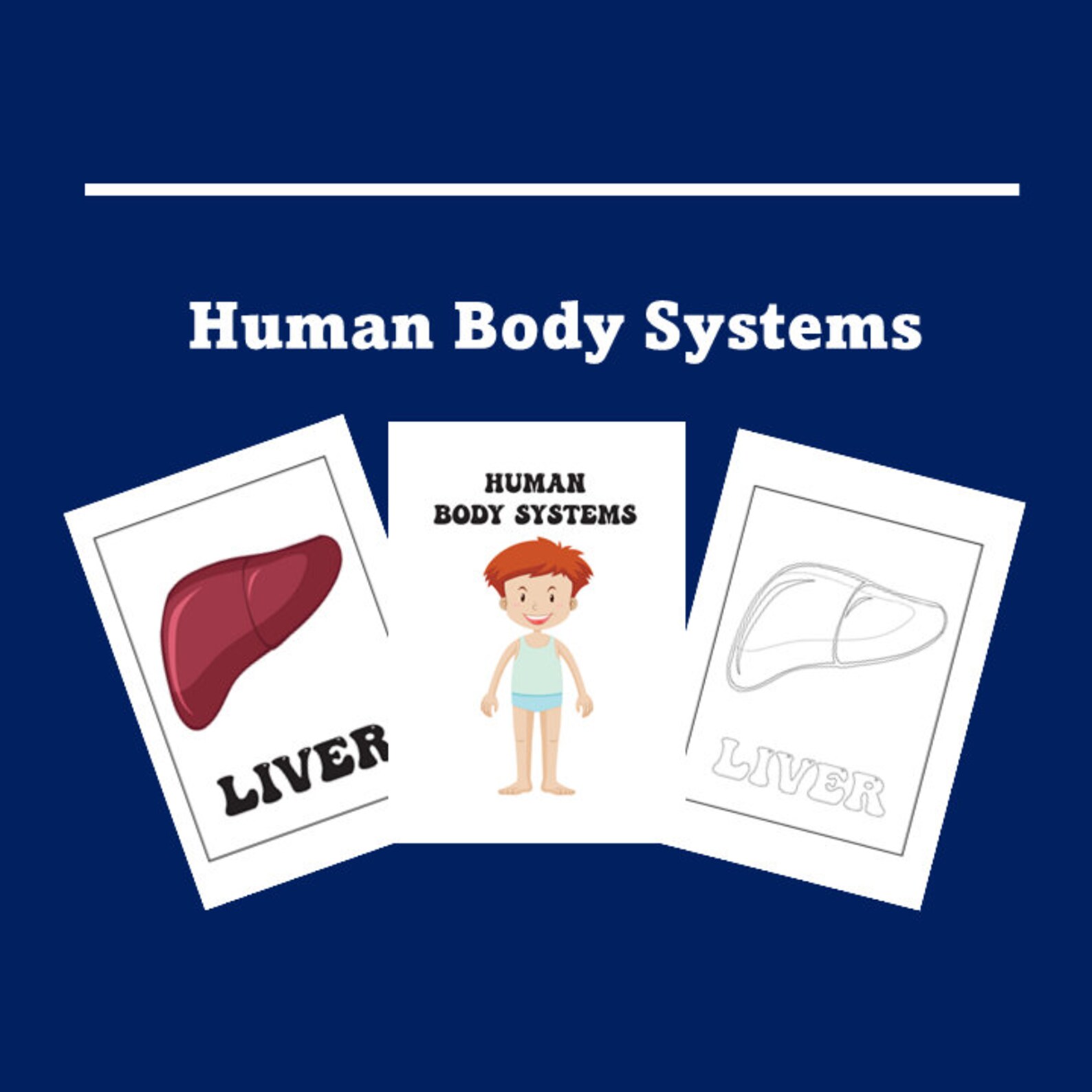 Printable Human Body Systems Worksheets for Kids | Organs | Coloring ...