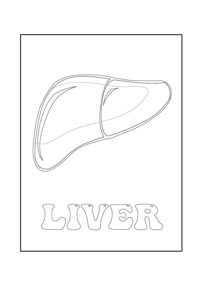 Printable Human Body Systems Worksheets for Kids | Organs | Coloring ...