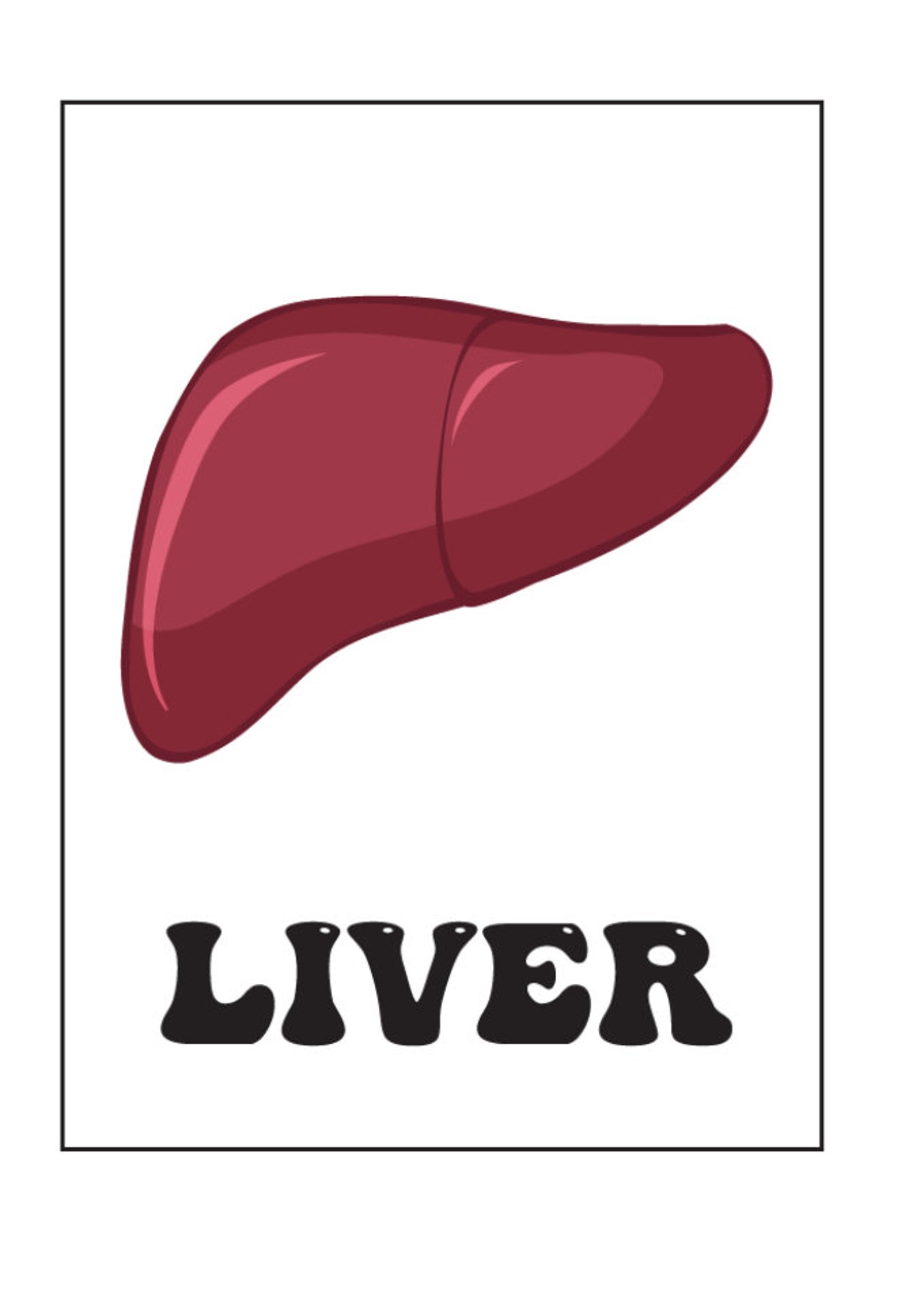 Printable Human Body Systems Worksheets for Kids | Organs | Coloring ...