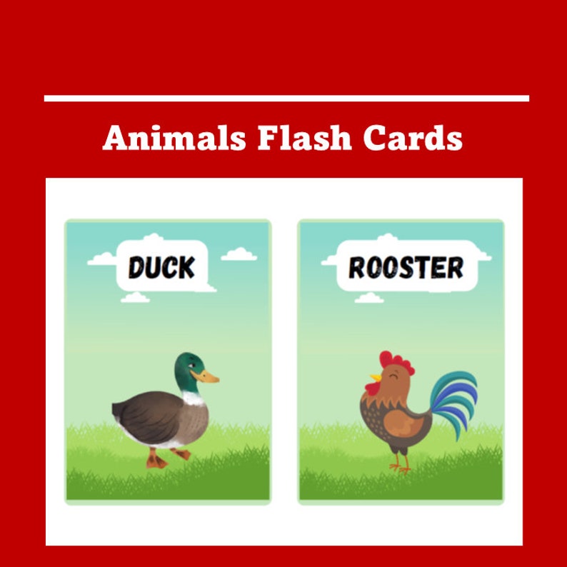 Printable Animals Flash Cards for Kids | Animals | 11 Pages | Preschool ...