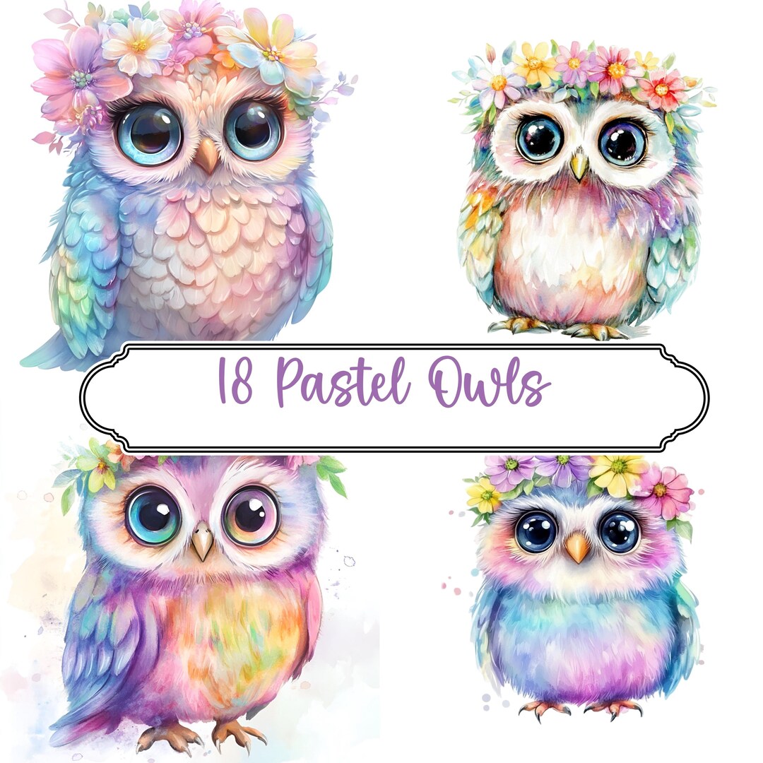 Pastel Owls, 18 Pastel Owls Png, Cute Owls, Owls With Flora Crowns ...