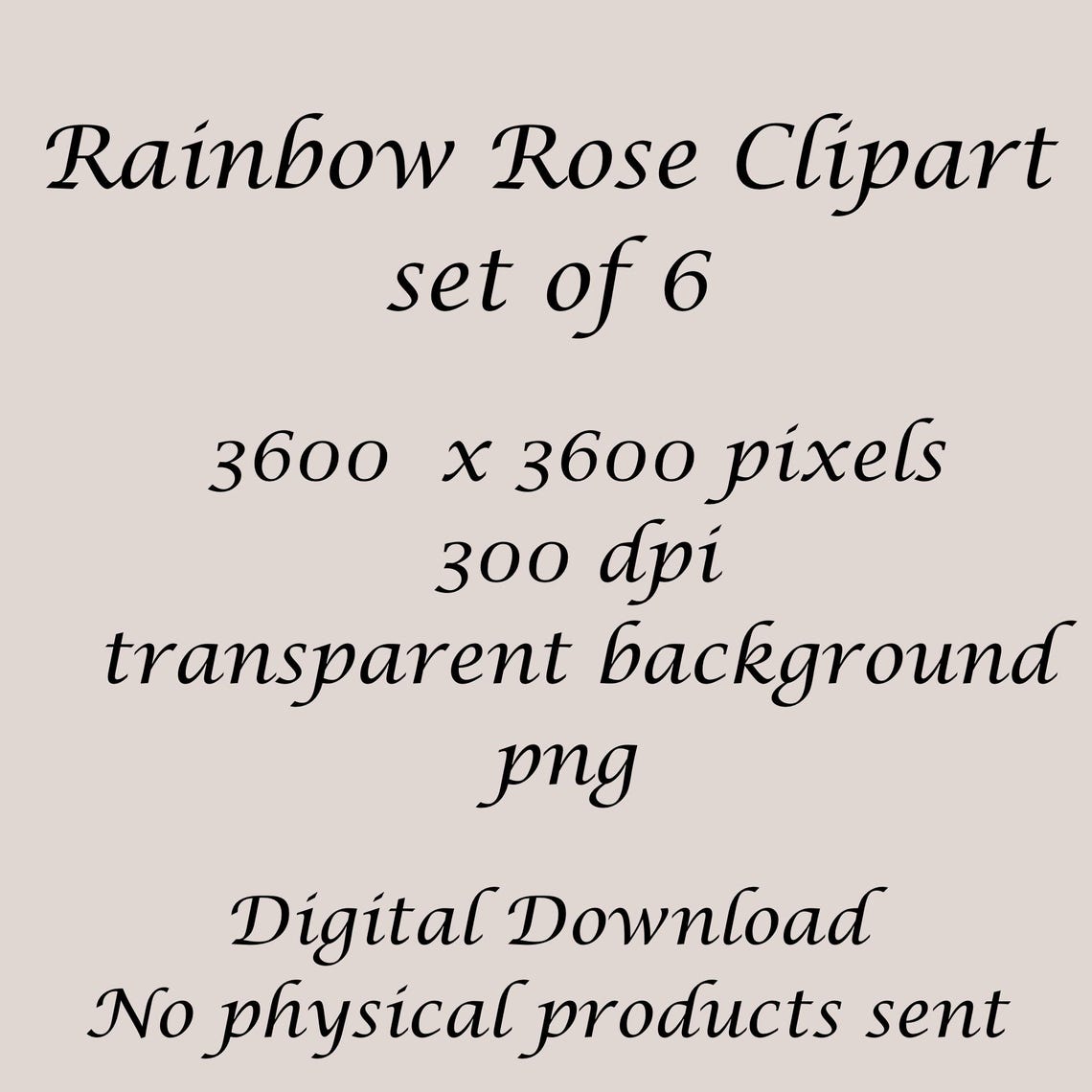 Rainbow Roses Collection of 6 Rainbow Rose PNG Clipart Set, Transparent ...