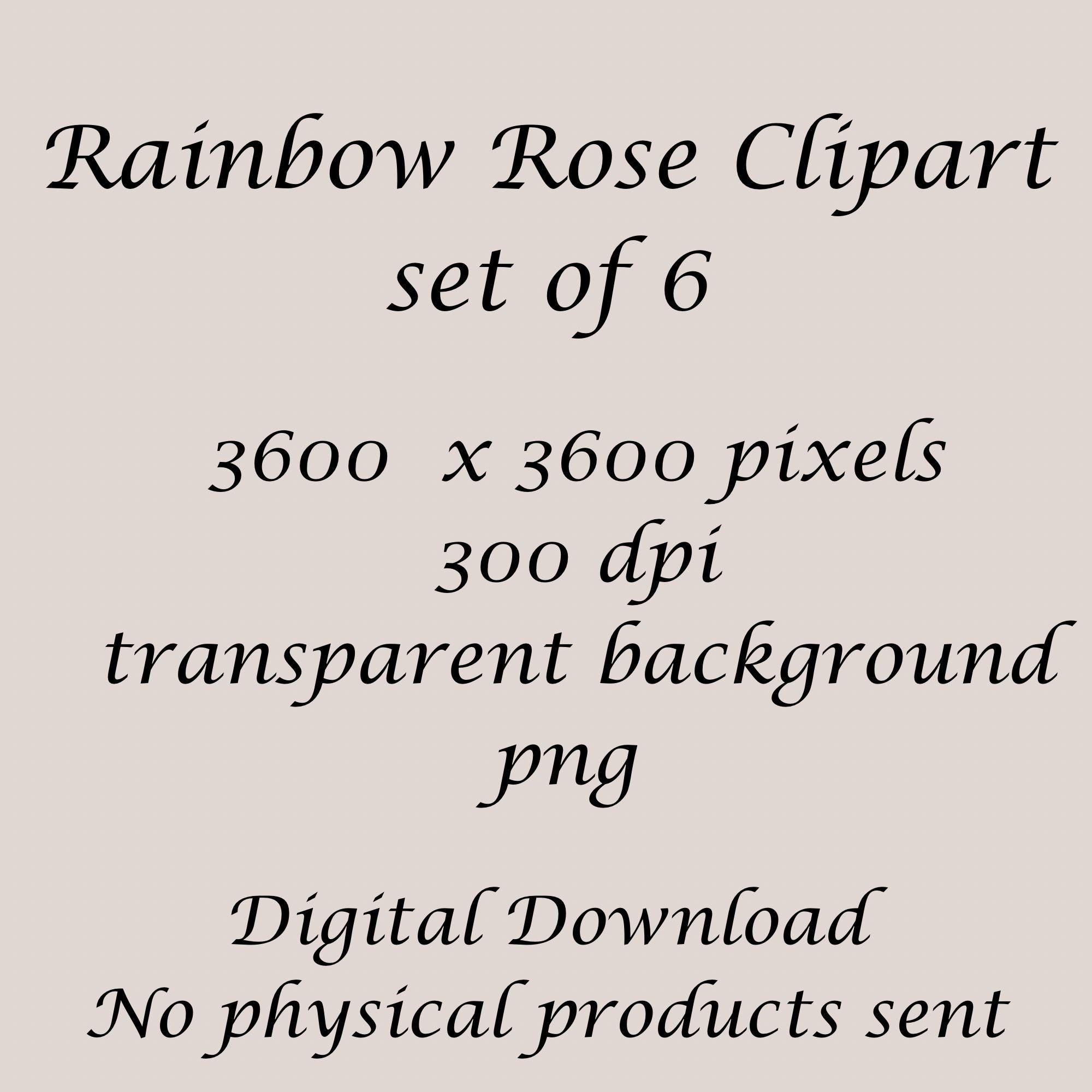 Rainbow Roses Collection of 6 Rainbow Rose PNG Clipart Set, Transparent ...