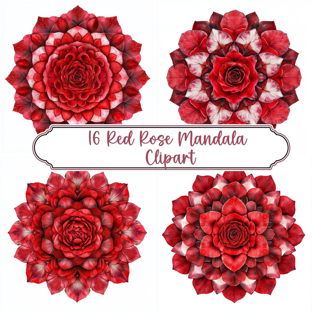 Red Rose Mandala Collection of 16 Floral Mandala PNG Clipart ...