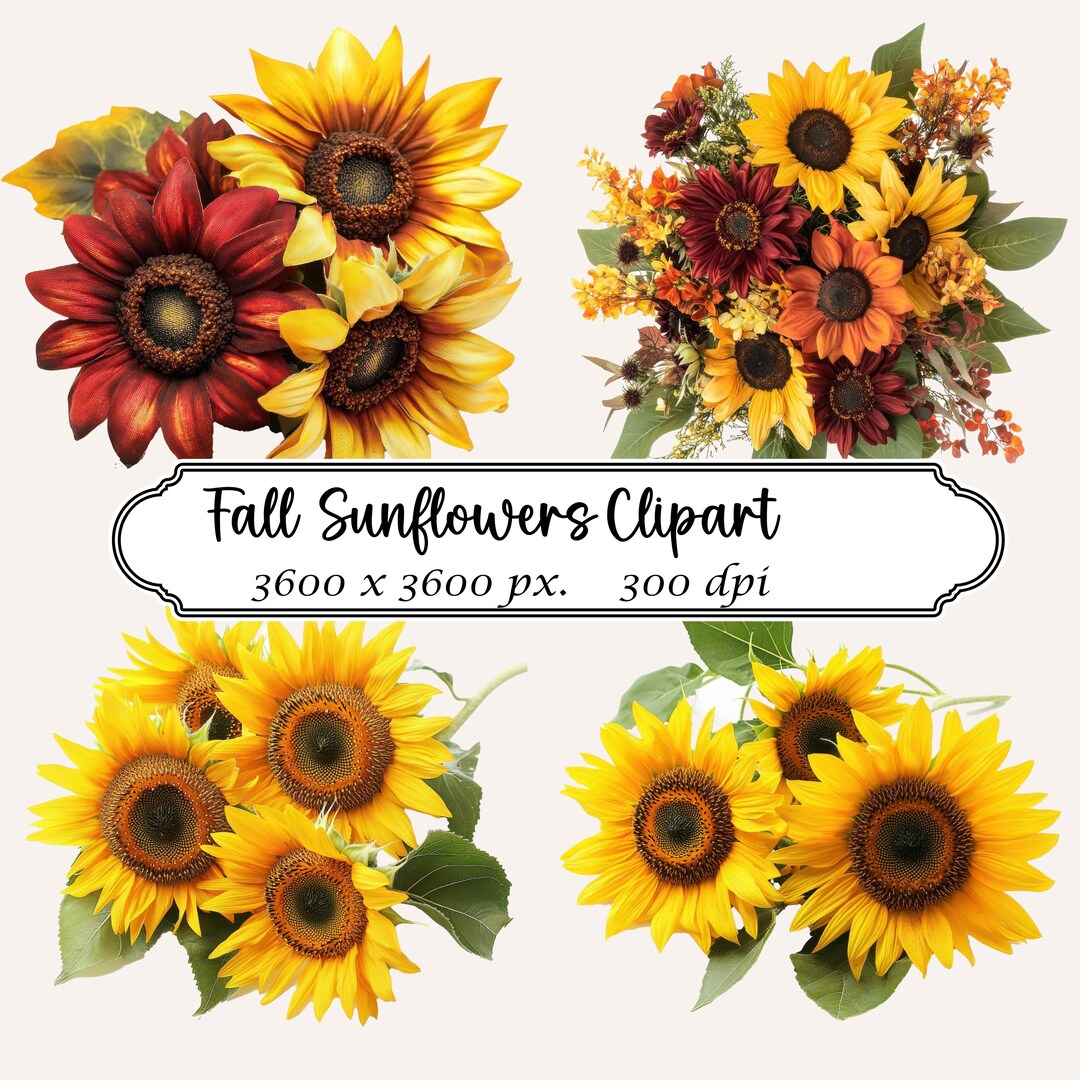 Fall Sunflowers Clipart | Sunflowers Bouquet | Autumn Floral ...
