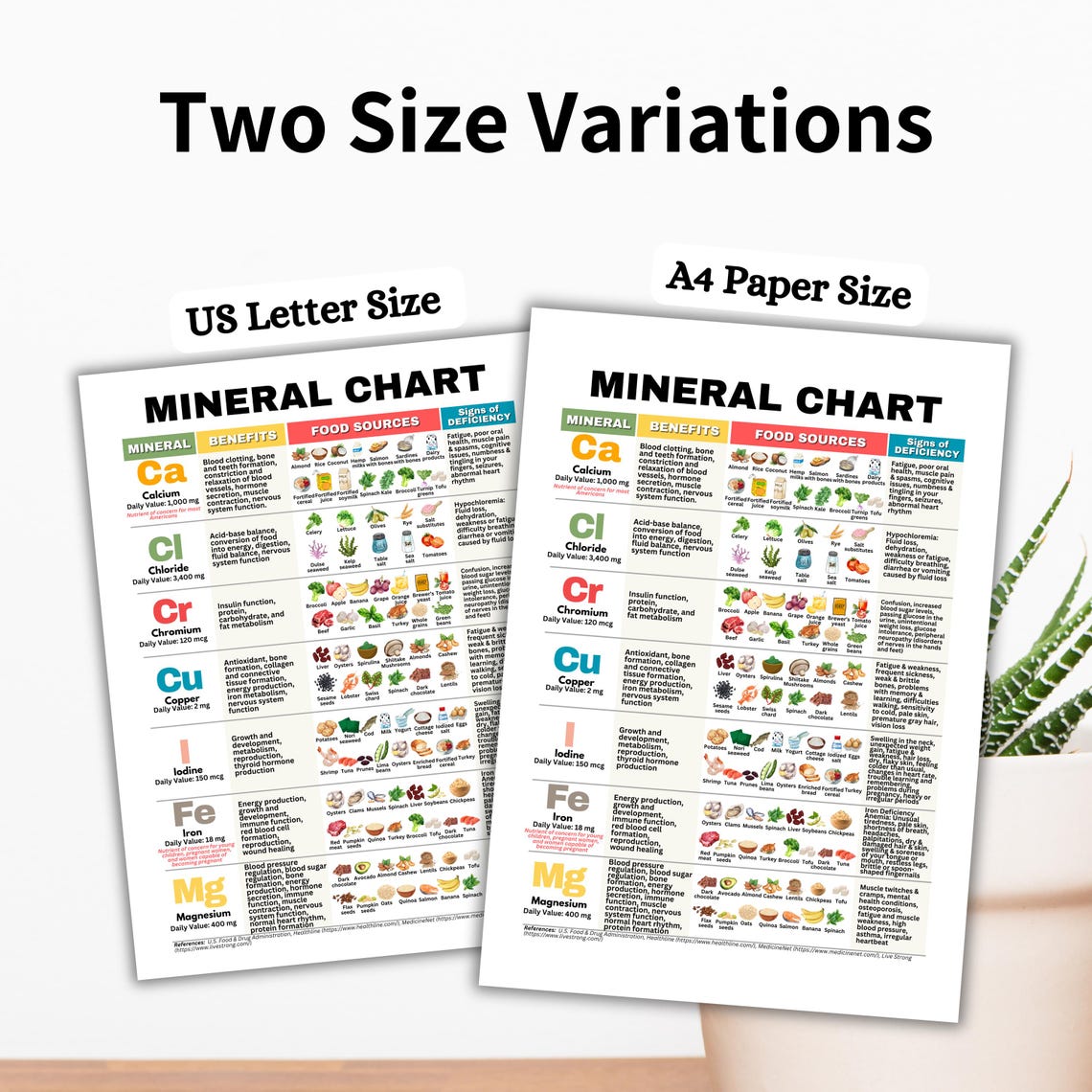 Mineral Chart Cheat Sheets Visual Guide for All 14 Minerals, Mineral ...