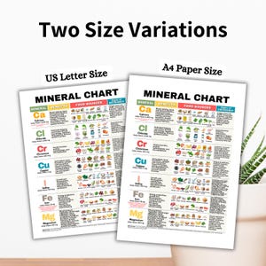 Mineral Chart Cheat Sheets Visual Guide for All 14 Minerals, Mineral Food Sources Chart, Signs ...