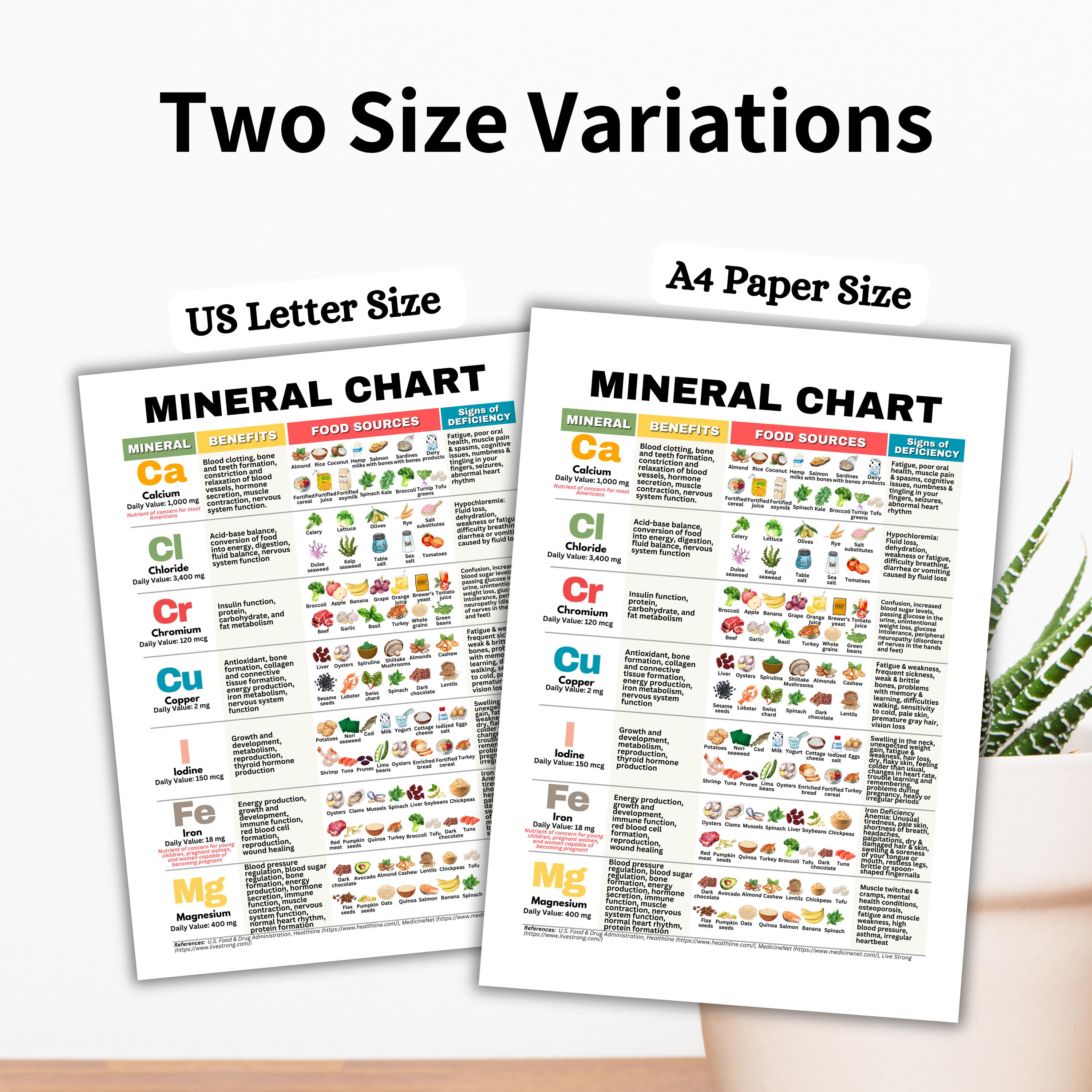 Mineral Chart Cheat Sheets Visual Guide for All 14 Minerals, Mineral ...