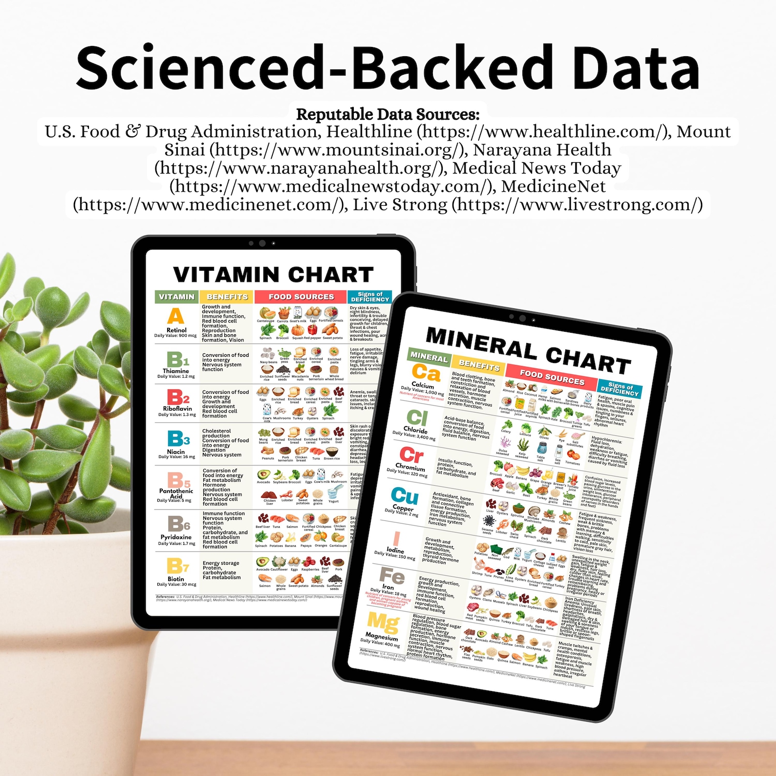 Vitamin & Mineral Chart Cheat Sheets and Visual Guide for All 14 ...
