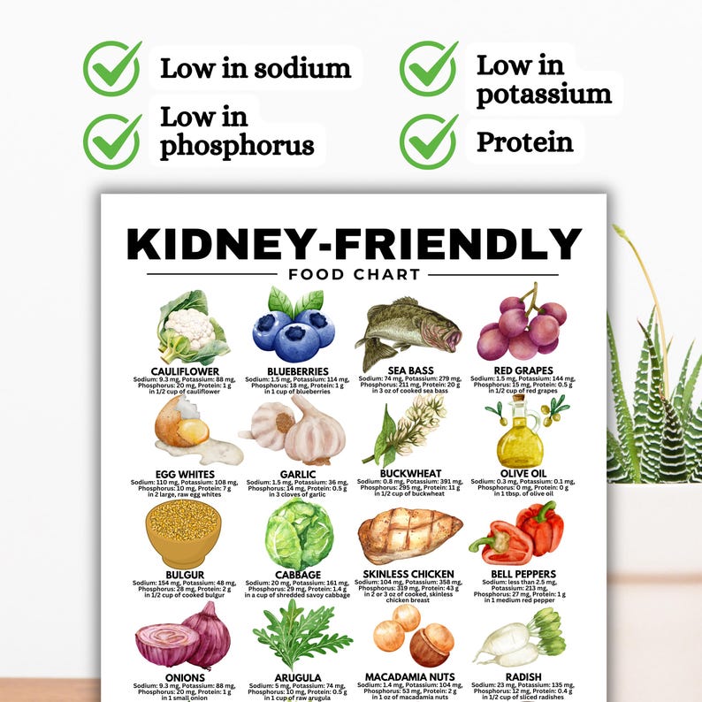 Kidney-friendly Food Chart, Renal Diet, Kidney Disease Food List ...