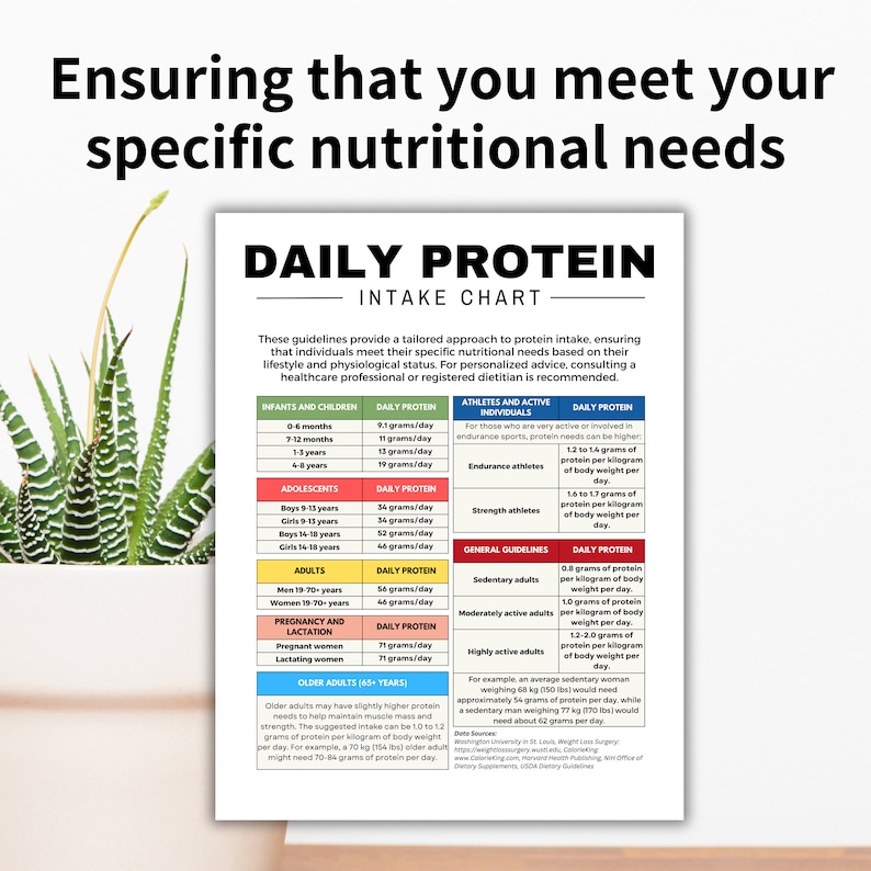 High Protein Food Chart, Protein Food List, Keto Food List, Low Carb ...