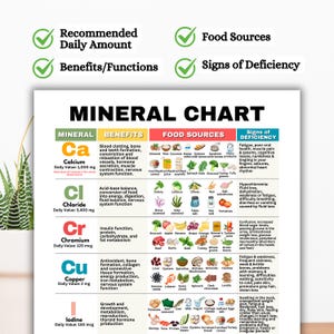 Mineral Chart Cheat Sheets Visual Guide for All 14 Minerals, Mineral ...