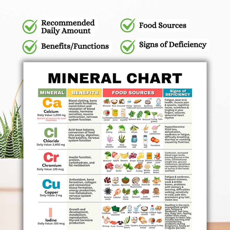 Mineral Chart Cheat Sheets Visual Guide for All 14 Minerals, Mineral ...