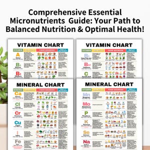 Vitamin & Mineral Chart Cheat Sheets and Visual Guide for All 14 Vitamins, 14 Minerals ...