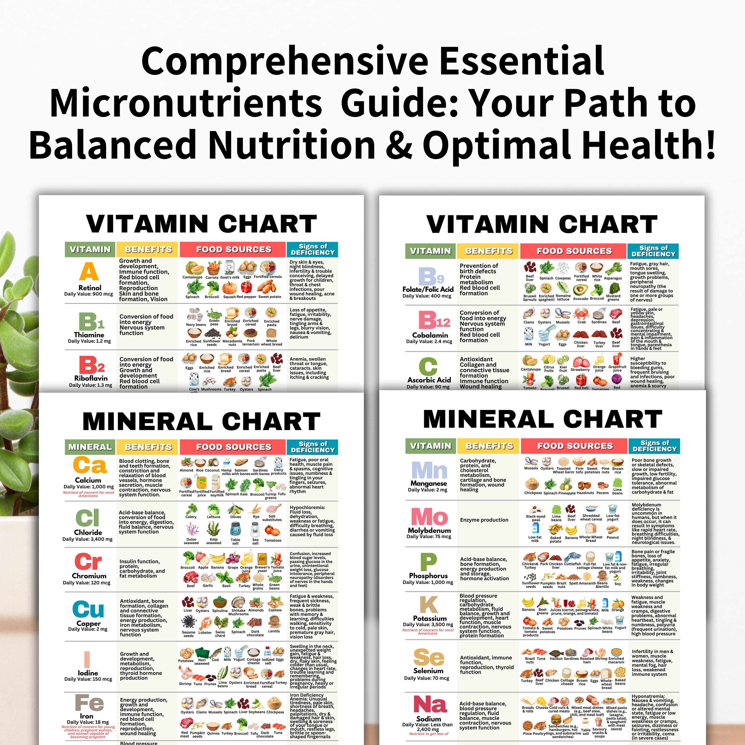 Vitamin & Mineral Chart Cheat Sheets and Visual Guide for All 14 Vitamins, 14 Minerals ...