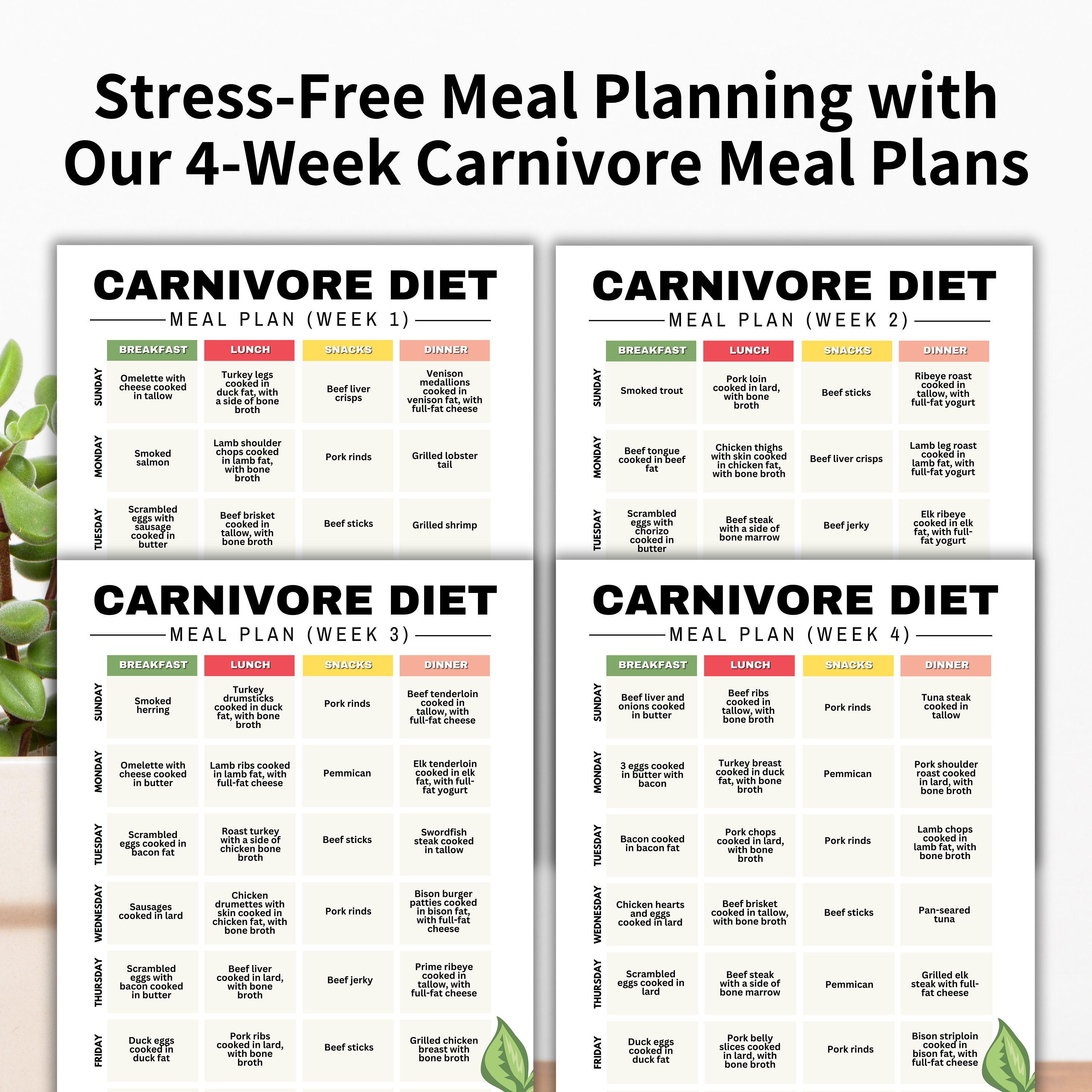 Carnivore Diet Meal Plan, High Protein Carnivore Diet List, Low Carb ...
