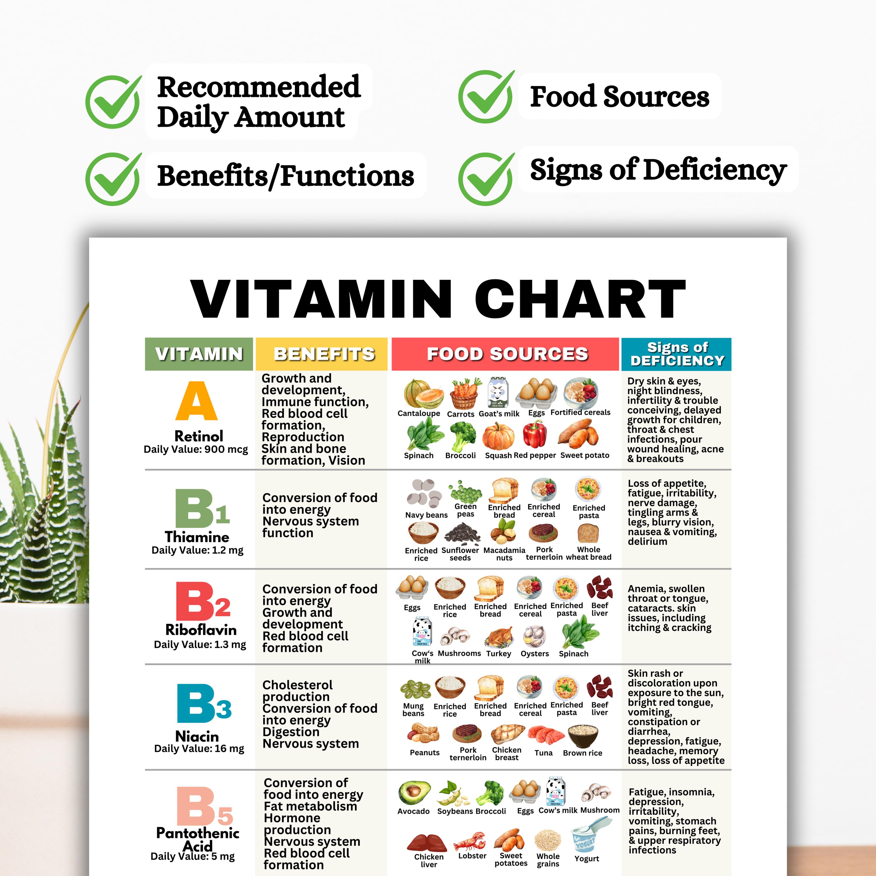 Vitamin Chart Cheat Sheets Visual Guide for All 14 Vitamins, Vitamin ...
