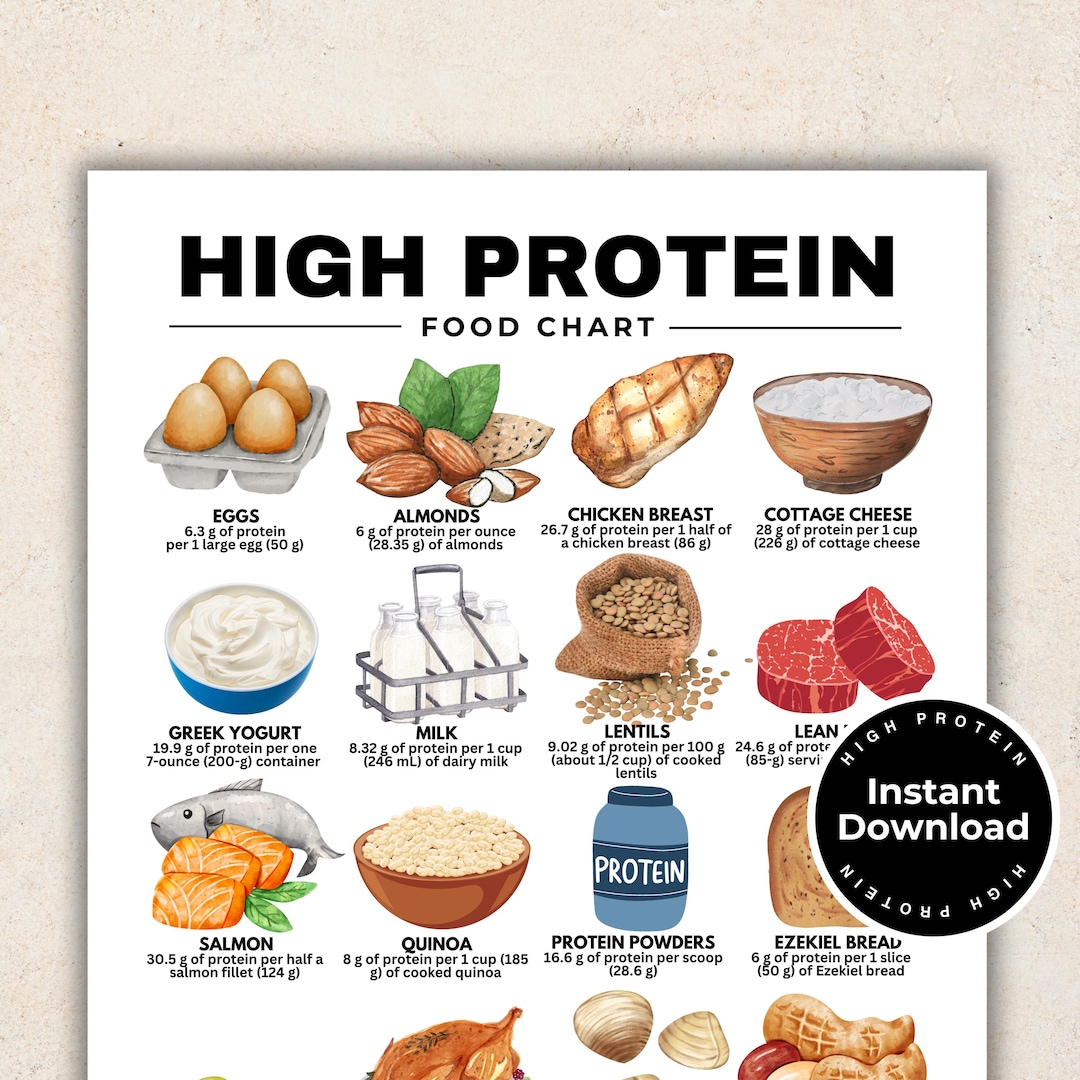 High Protein Food Chart, Protein Food List, Protein Poster, Keto Food ...