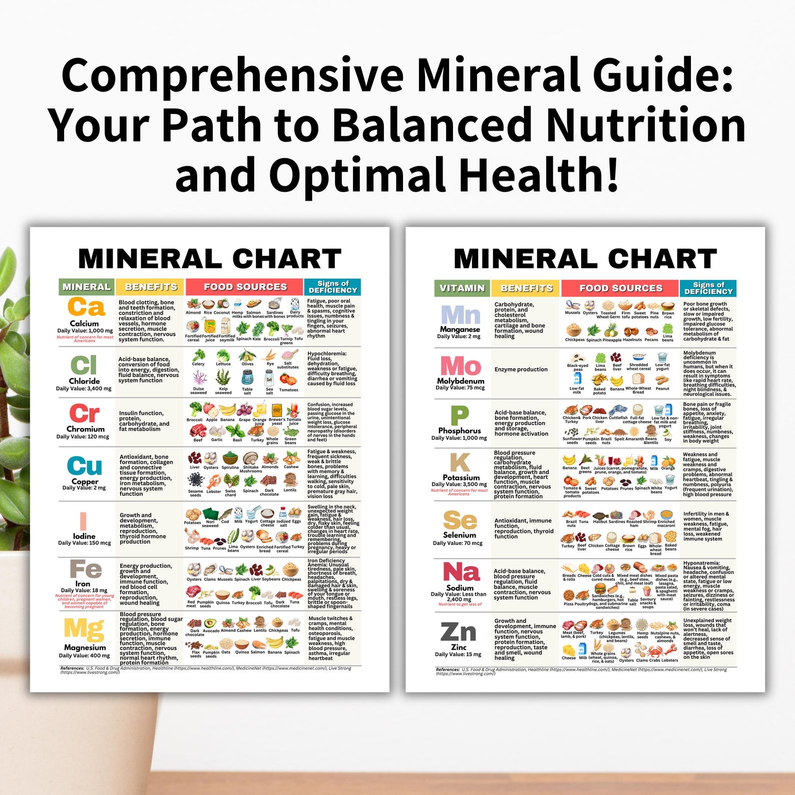Mineral Chart Cheat Sheets Visual Guide for All 14 Minerals, Mineral ...