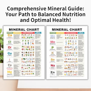 Mineral Chart Cheat Sheets Visual Guide for All 14 Minerals, Mineral ...