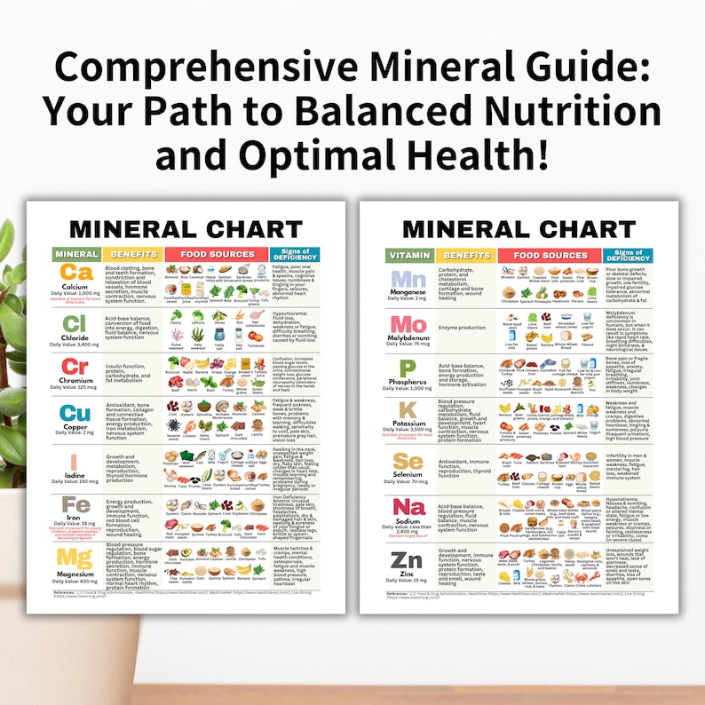 Mineral Chart Cheat Sheets Visual Guide for All 14 Minerals, Mineral Food Sources Chart, Signs ...