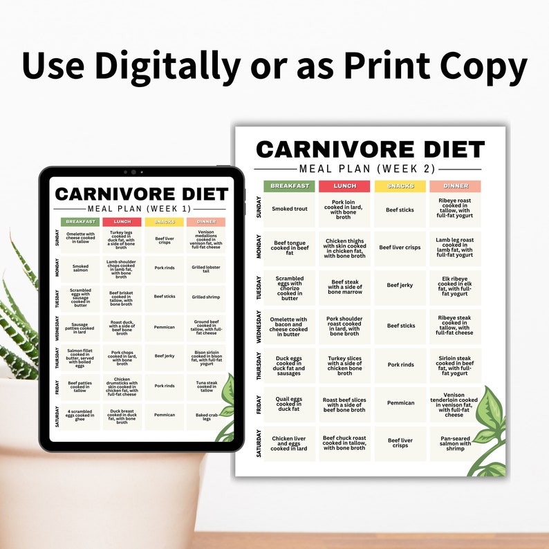 Carnivore Diet Meal Plan, High Protein Carnivore Diet List, Low Carb ...