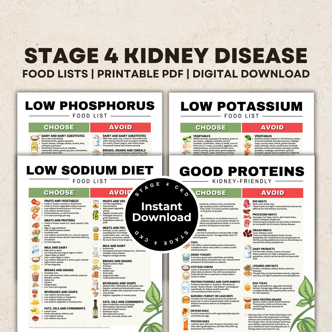 Stage 4 Kidney Disease Food List, Renal Diet, Kidney Friendly Food List ...