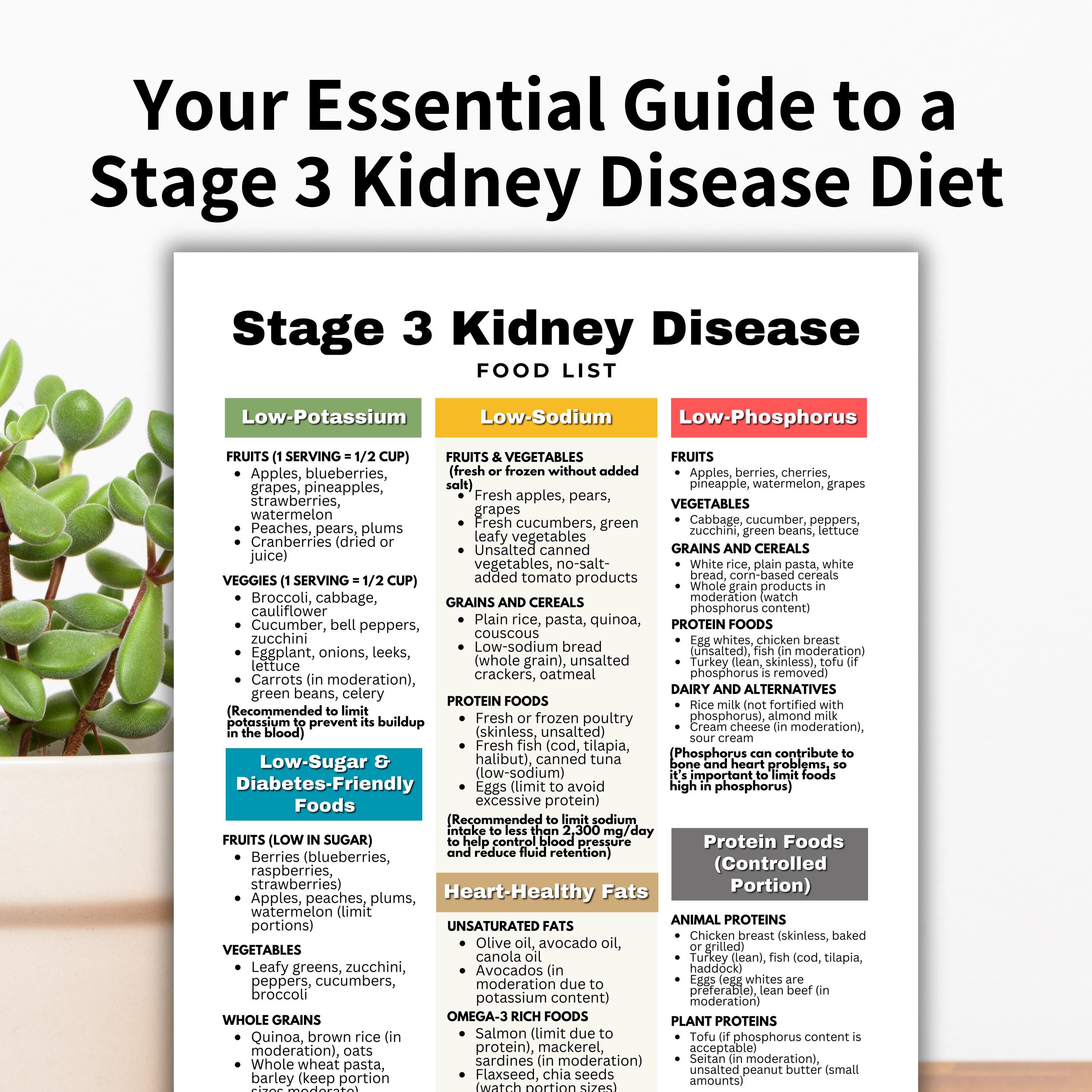 Stage 3 Kidney Disease Food List, Renal Diet, Kidney Friendly Food List ...