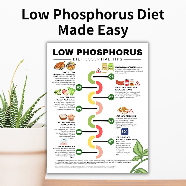 Low Phosphorus Diet Food List for Stage 4 Kidney Disease Renal Diet ...