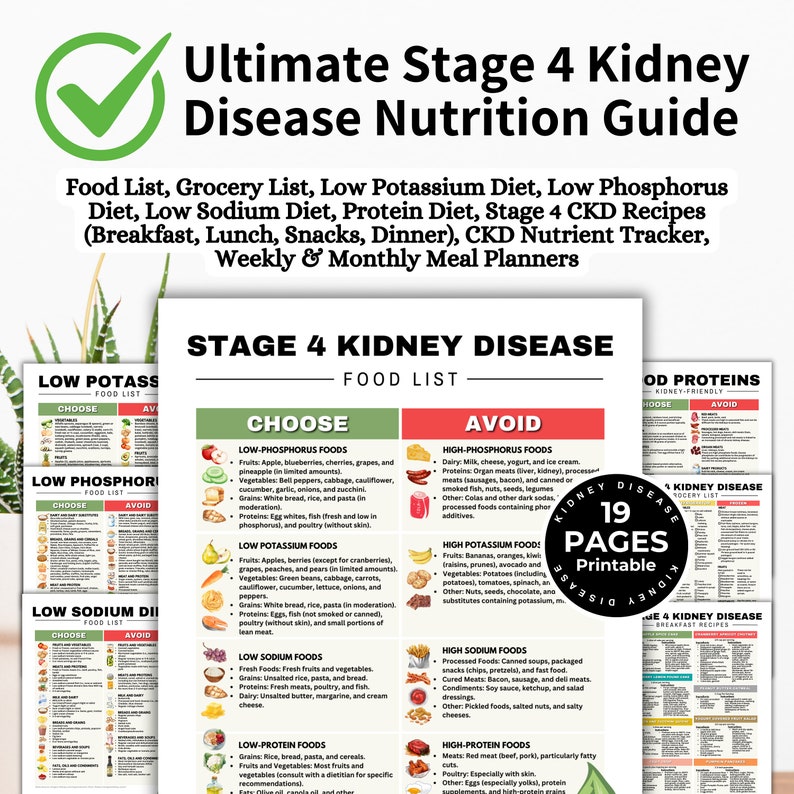 Stage 4 Kidney Disease Food List, Renal Diet, Kidney Friendly Food List ...