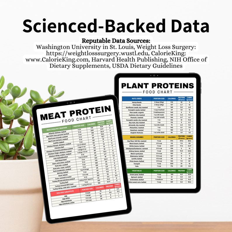 High Protein Food Chart, Protein Food List, Keto Food List, Low Carb ...