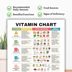 Vitamin & Mineral Chart Cheat Sheets and Visual Guide for All 14 Vitamins, 14 Minerals ...