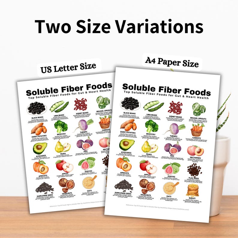 Soluble Fiber Food List for High Fiber Meals Veggies High in Fiber ...