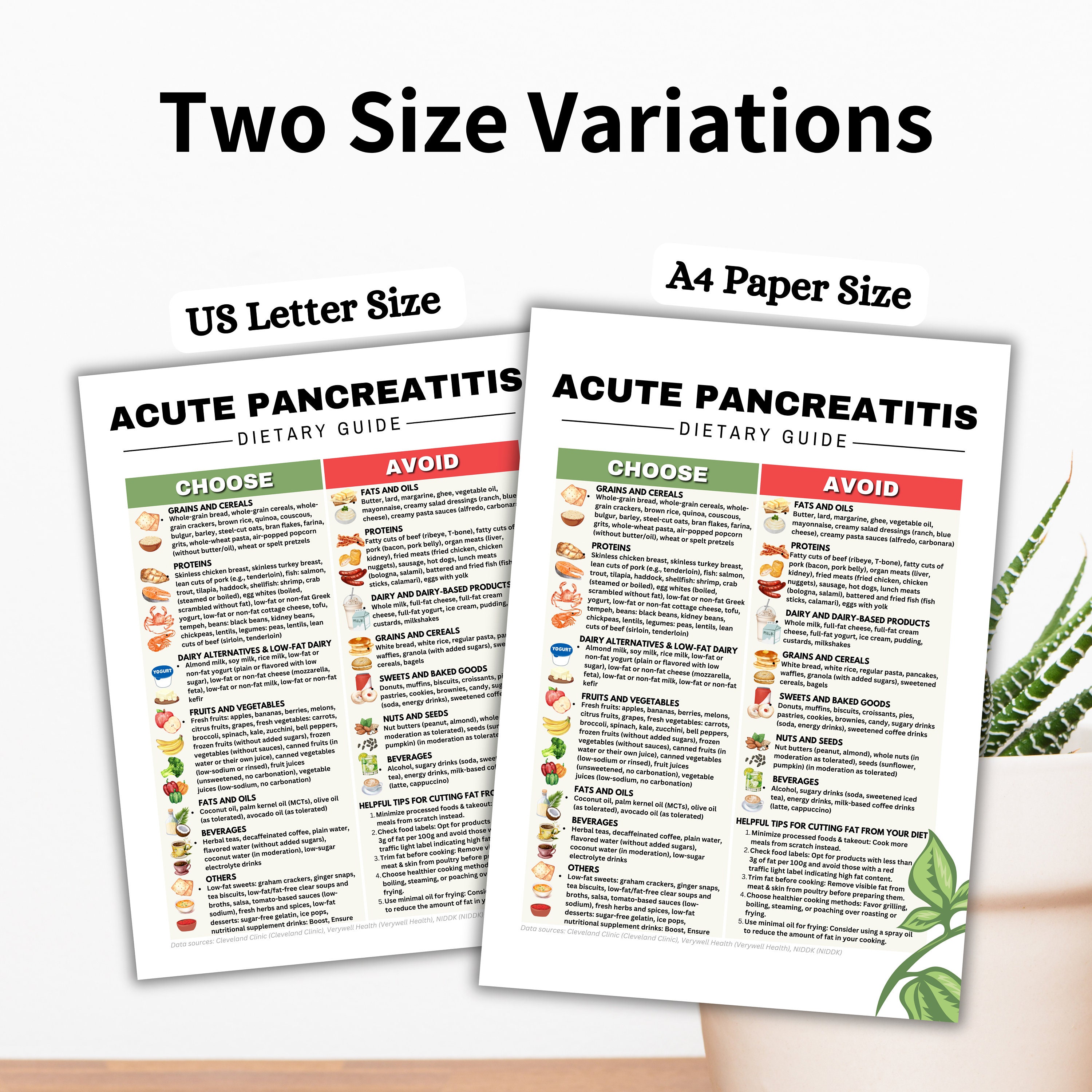 Pancreatitis Diet, Acute Pancreatitis Food List, Anti Inflammatory Low ...
