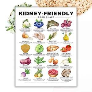 Kidney-friendly Food Chart, Renal Diet, Kidney Disease Food List ...