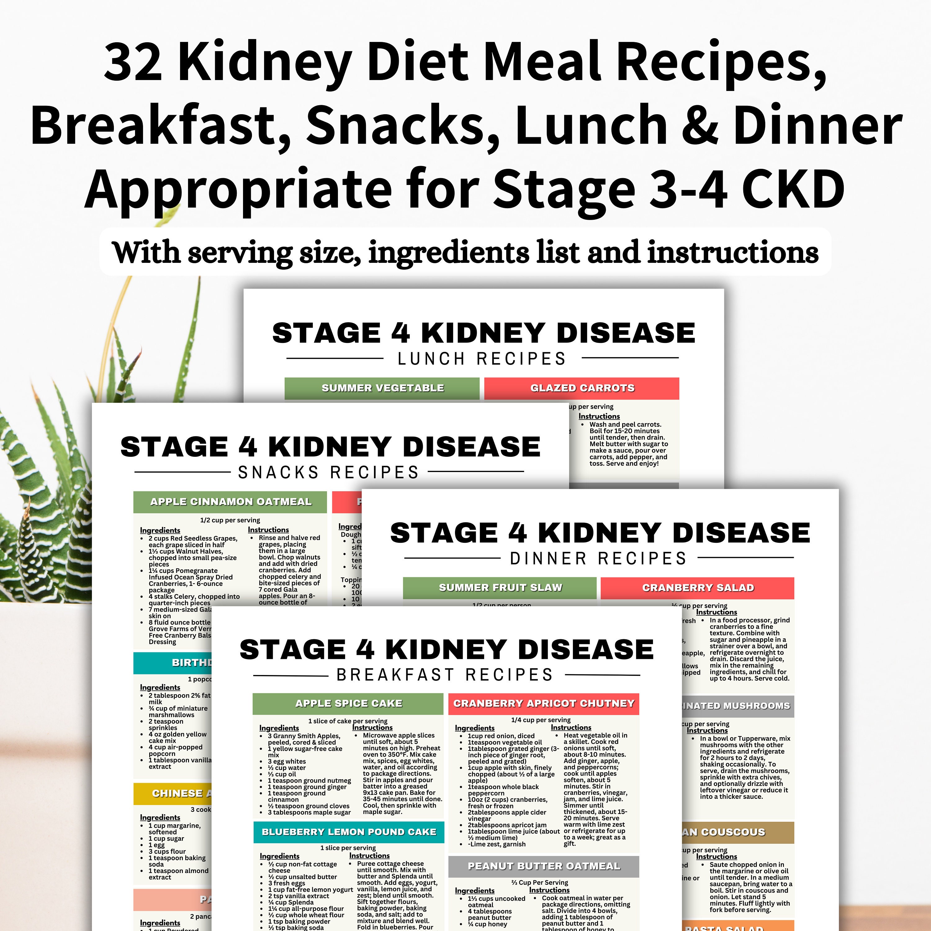 Stage 4 Kidney Disease Food List, Kidney Diet Meal Planner, Renal Diet ...