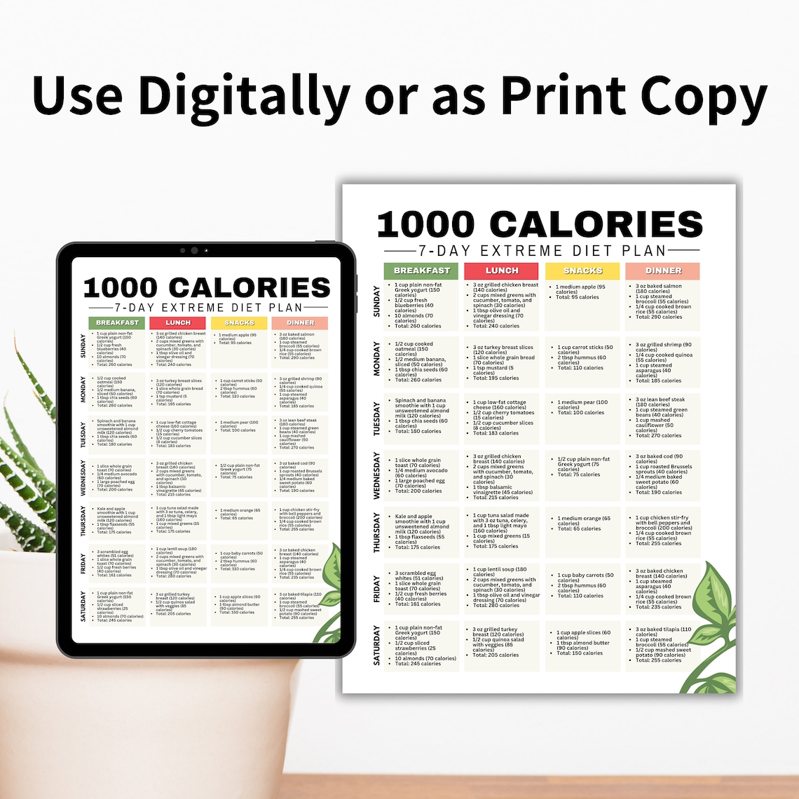 1000 Calories Extreme Diet Plan, Dietitian Low Calorie Diet Planner for ...