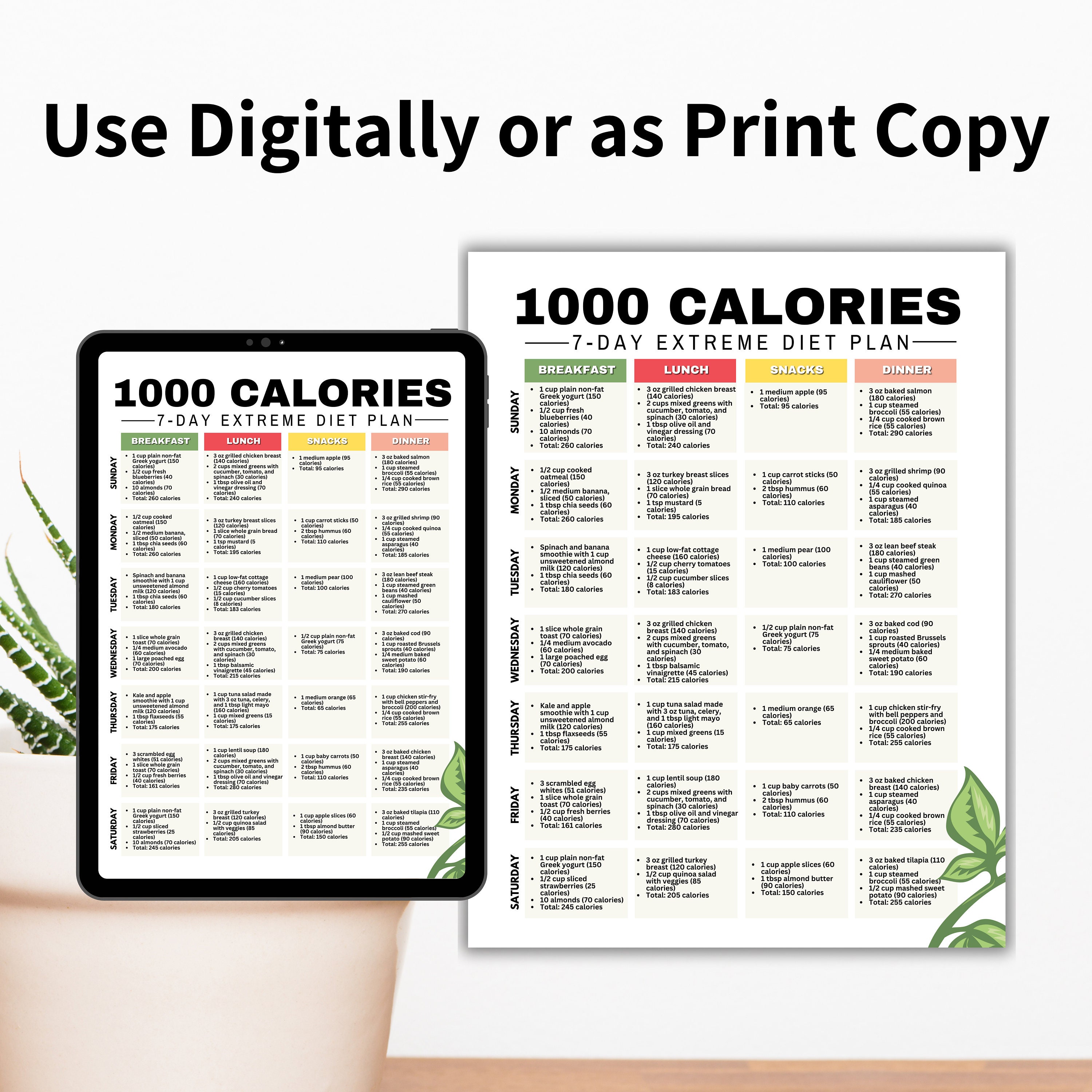 1000 Calories Extreme Diet Plan, Dietitian Low Calorie Diet Planner for ...