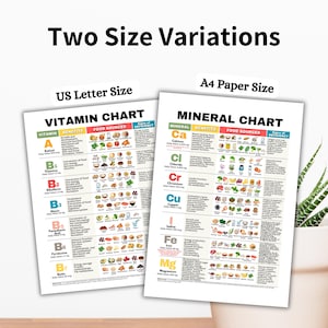 Vitamin & Mineral Chart Cheat Sheets and Visual Guide for All 14 Vitamins, 14 Minerals ...